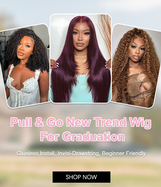 Geeta Hair 100% Virgin Human Hair Wig Glueless HD Lace Front Wig ...
